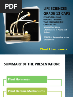 Tropisms - IGCSE Biology Revision Notes | PDF | Auxin | Root