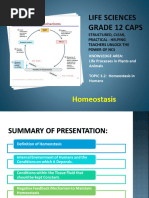 Homeostasis Notes Grade 12 | PDF | Homeostasis | Kidney