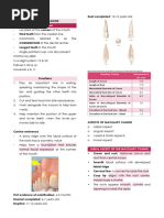Canine Tooth Anatomy Overview | PDF | Dental Anatomy | Tooth