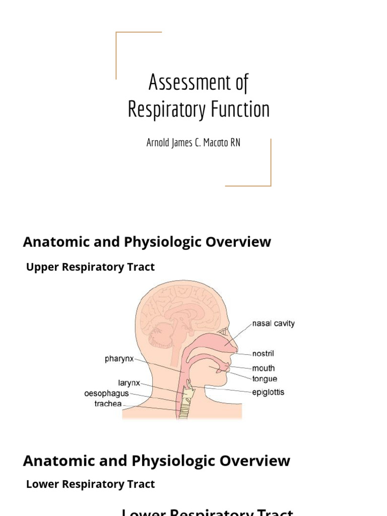 Assessment of Respiratory Function 2 | PDF | Pneumonia | Exhalation
