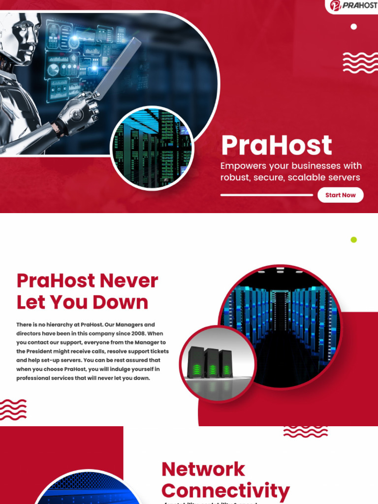 10gbps Dedicated Server | PDF