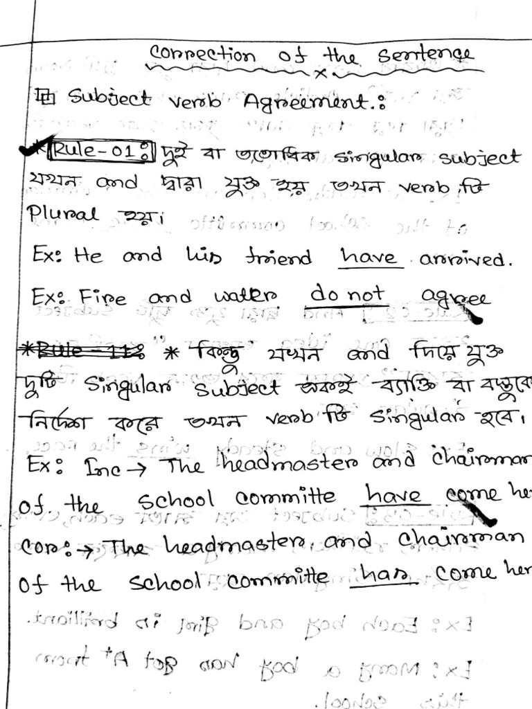 Correction of Sentence | PDF