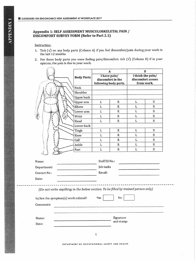 Self Assessment Musculoskeletal Pain | PDF