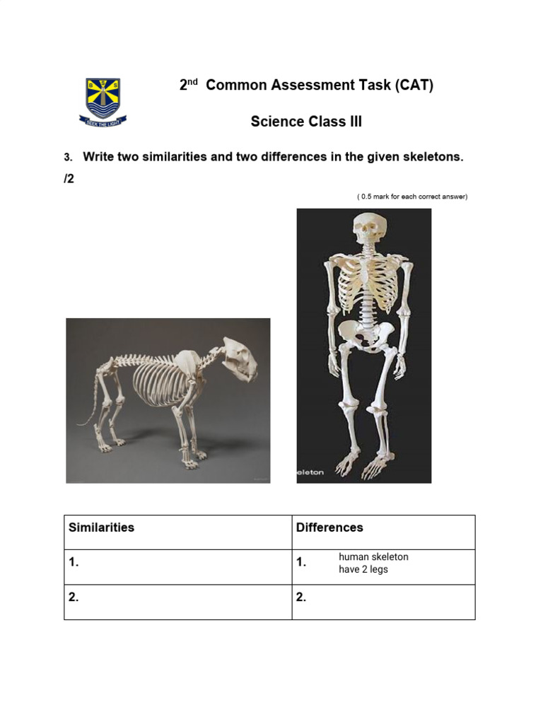 Edited - (Template) 2nd Common Assessment Task (CAT) | PDF | Wellness