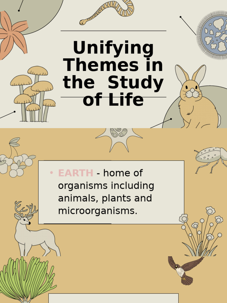 Biological Classification Education Presentation in Simple Outlined ...
