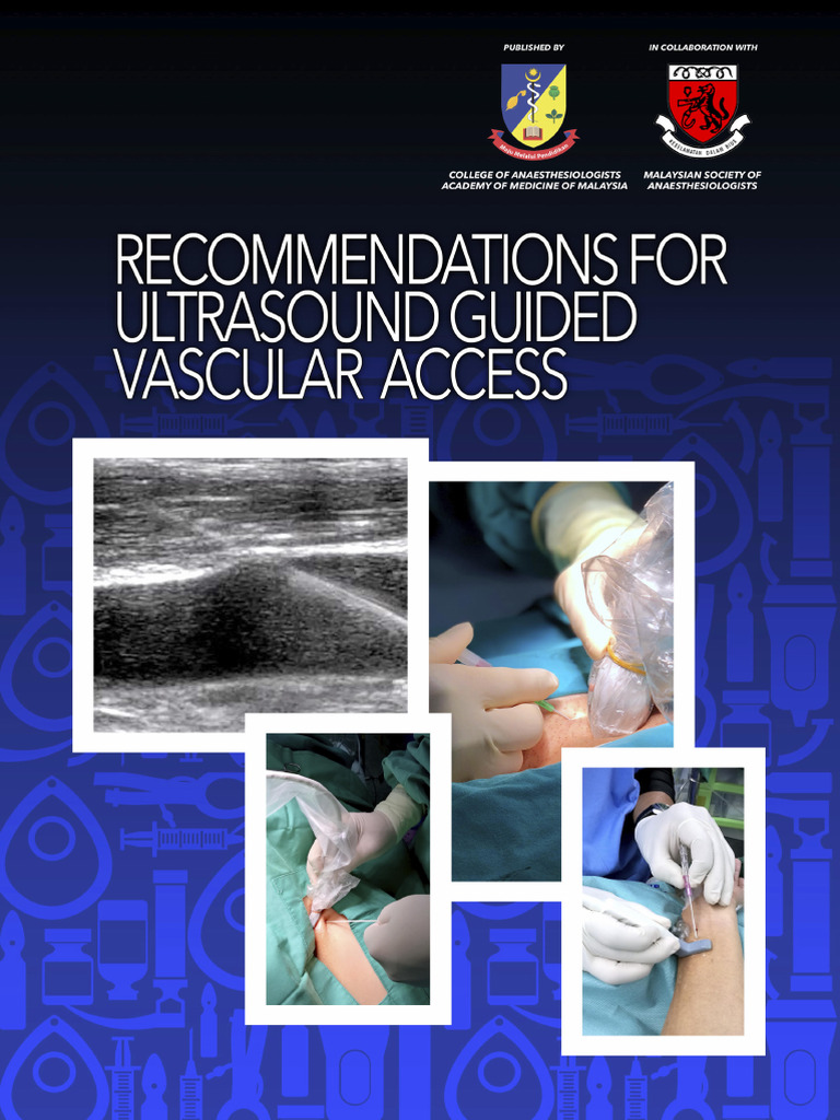Ultrasound Vascular Access Guidelines 2022 | PDF | Vein | Medical ...
