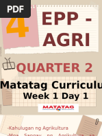 G4 Q2 Worksheet - Epp - Agriculture | PDF
