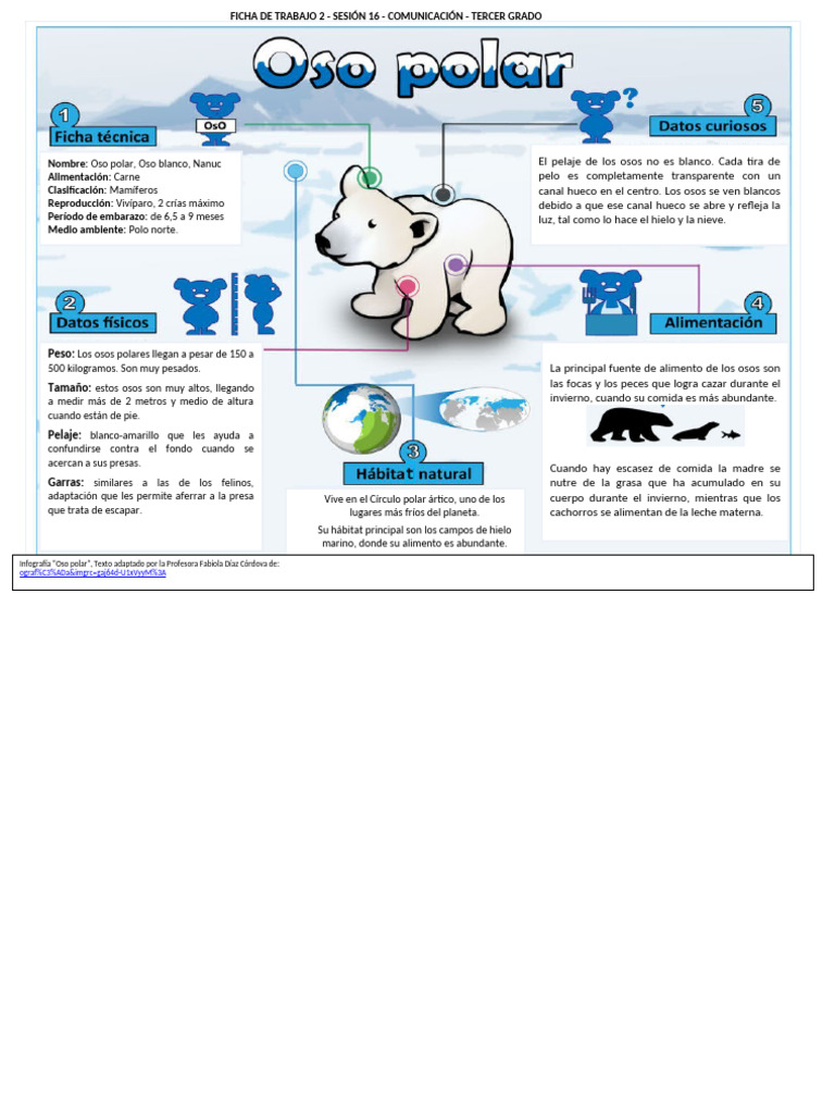 SESIÓN 16 FICHA 2- 3ER GRADO COMU | PDF | Oso polar | Osos