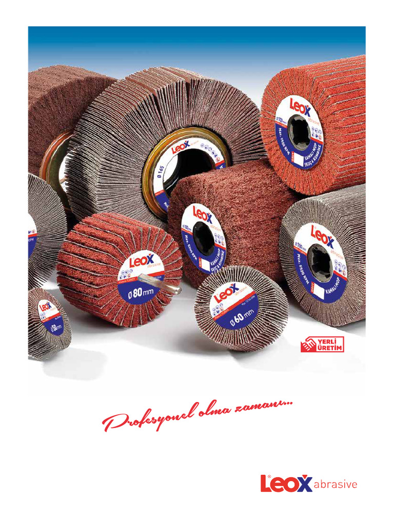 Leox 2024 Türkçe V06 | PDF