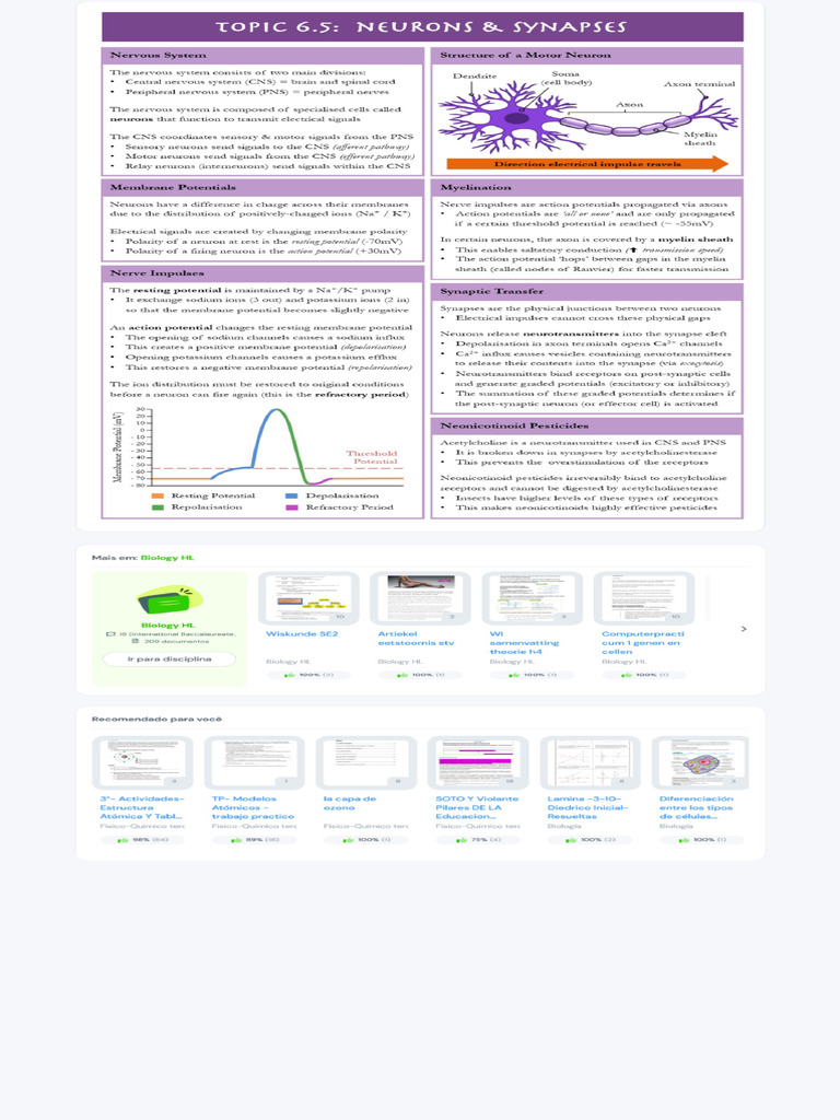 Neurons & Synapses | PDF