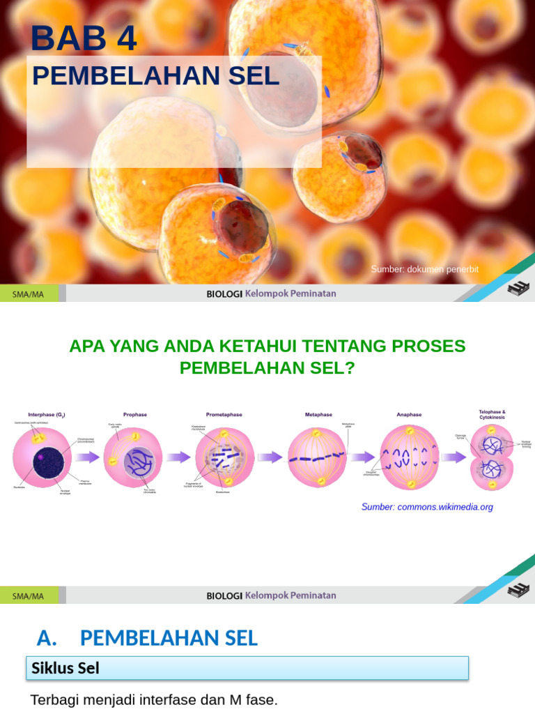 Bab 4 Pembelahan Sel | PDF