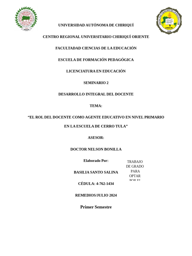 Rol Docente en Educación Primaria | PDF | Enseñando | Maestros