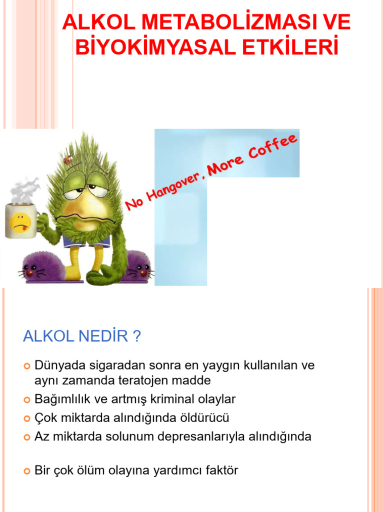 Alkol Metabolizması | PDF