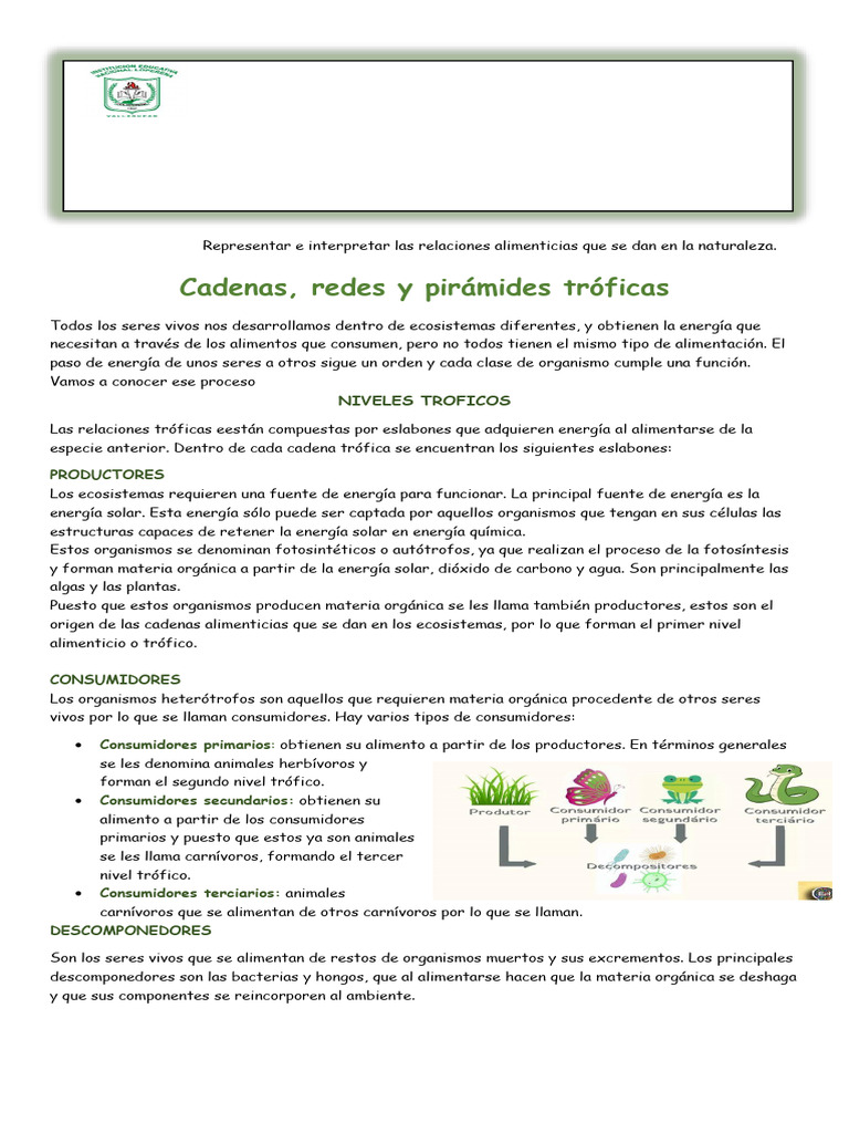 Cadenas, Resdes y Piramides 10° | PDF | Red alimentaria | Ecología de ...