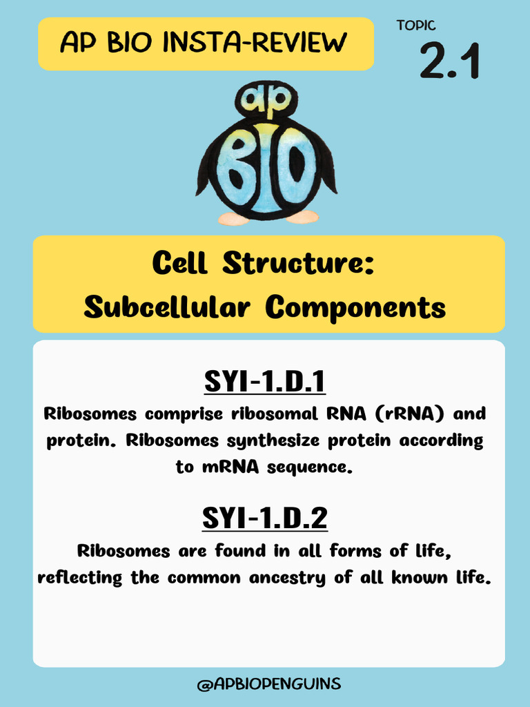 Cell Structure: Subcellular Components: SYI-1.D.1 | PDF | Endoplasmic ...