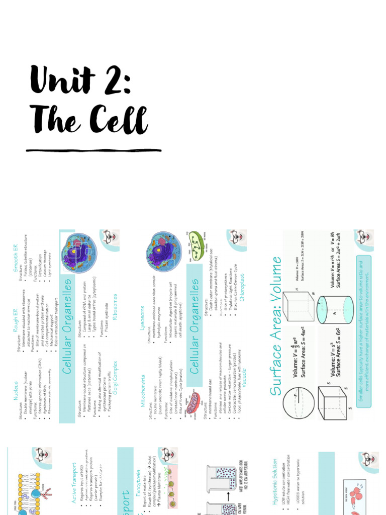 Unit 2 One-Pagers | PDF