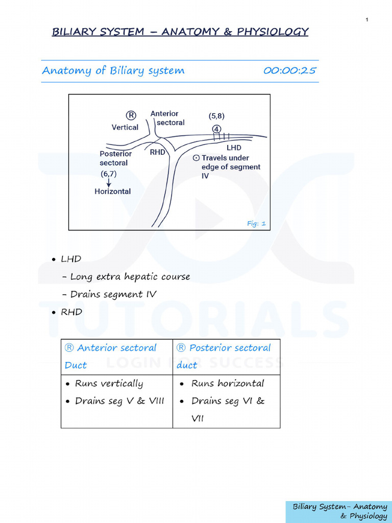 Hepatobiliary Pancreatic Atf 241027 203630 | PDF