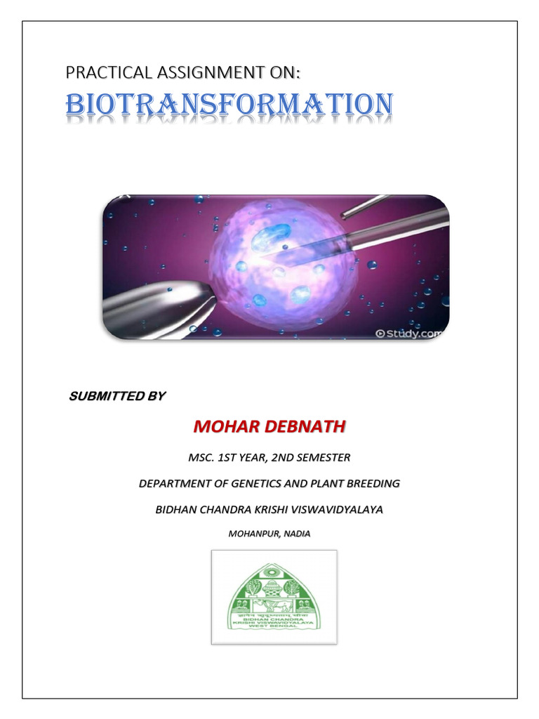 Biotransformation Project | PDF | Enzyme | Cofactor (Biochemistry)