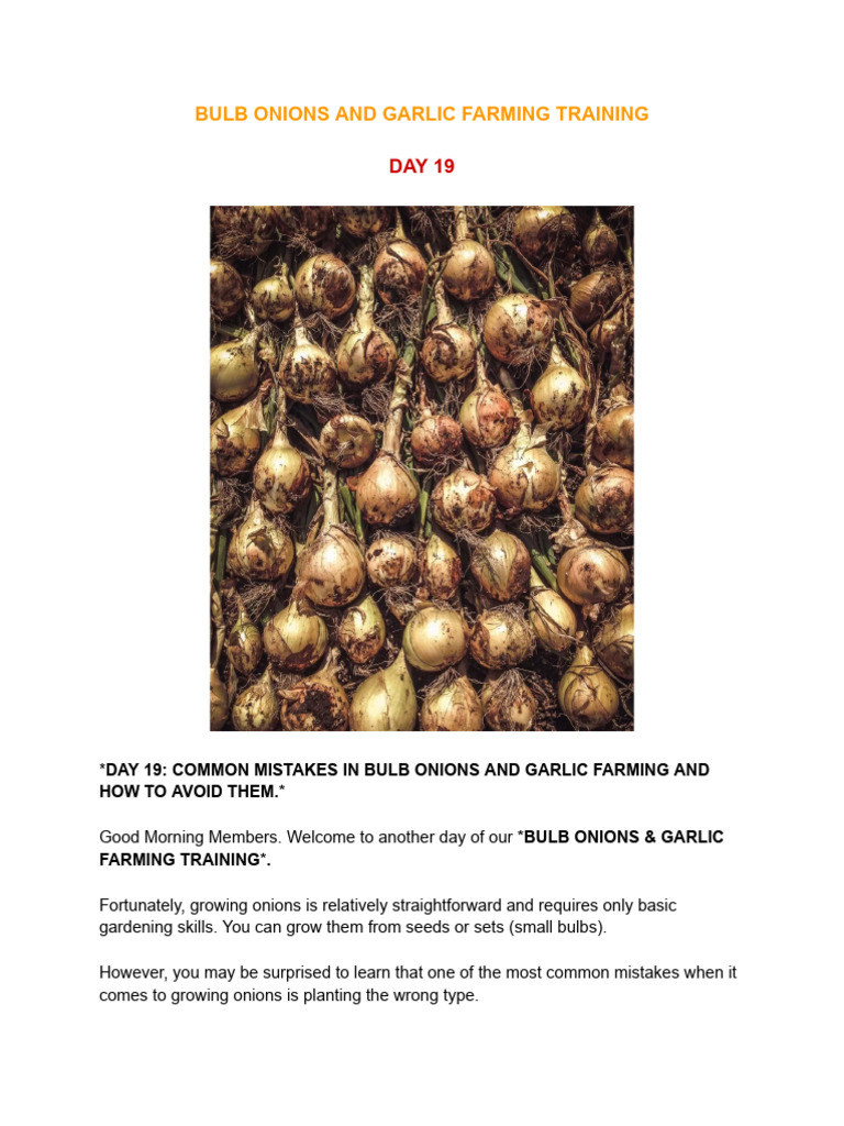 Avoid Common Onion & Garlic Farming Mistakes | PDF | Onion | Fertilizer