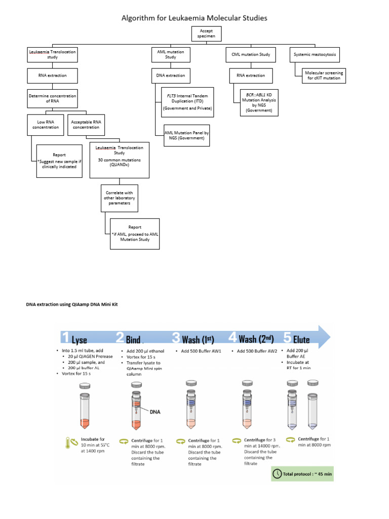 Algorithm AML NGS BCR ABL | PDF | Primer (Molecular Biology ...