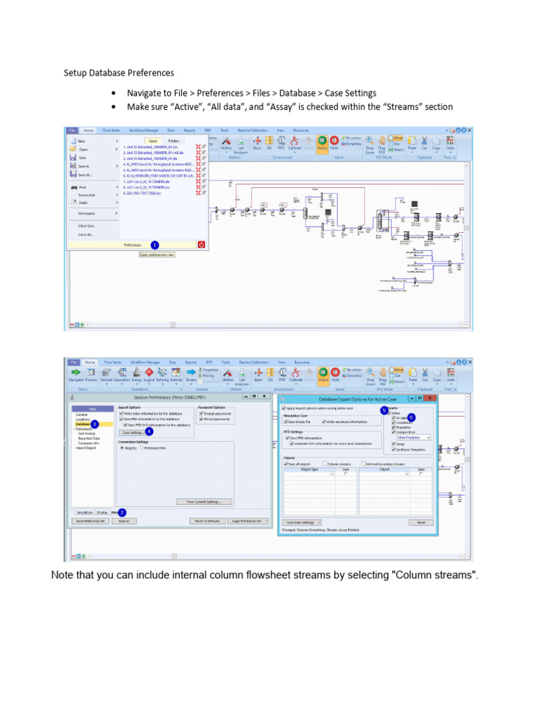 Petrosim Database Setup Guide | PDF