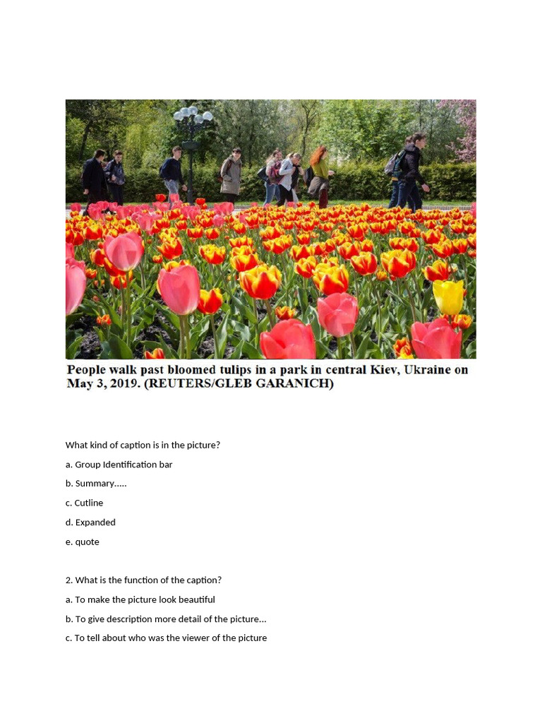 Materi Caption Kelas XII | PDF