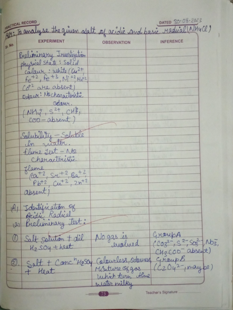 Chemistry Practical | PDF