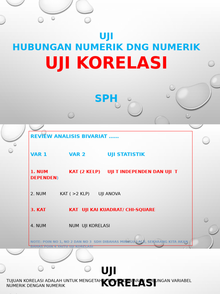 SPH - Uji Korelasi 2024 | PDF