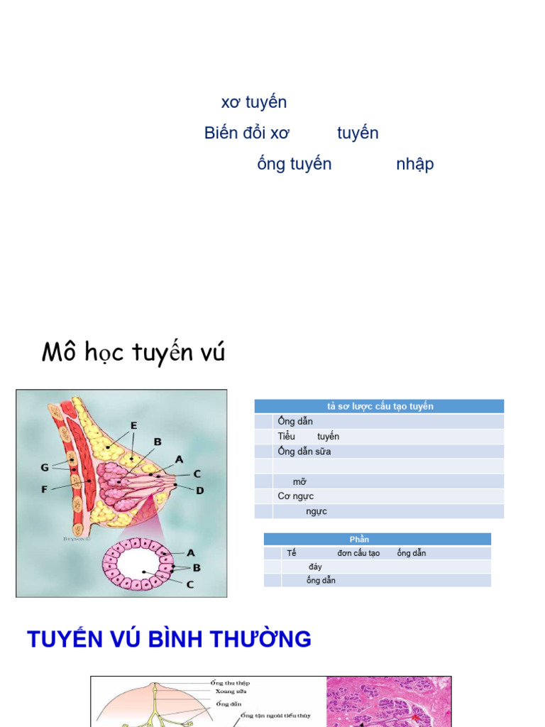 BAI 3 - BENH LY TUYEN VU.pdf cô tuyền | PDF