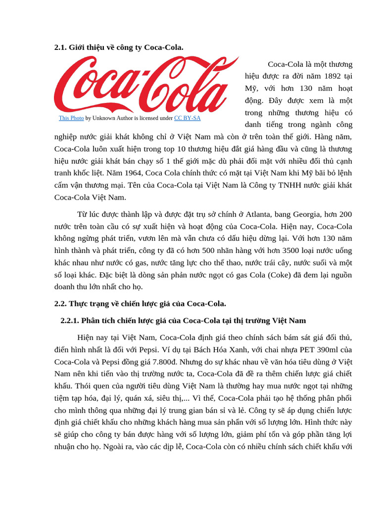 Coca Cola | PDF