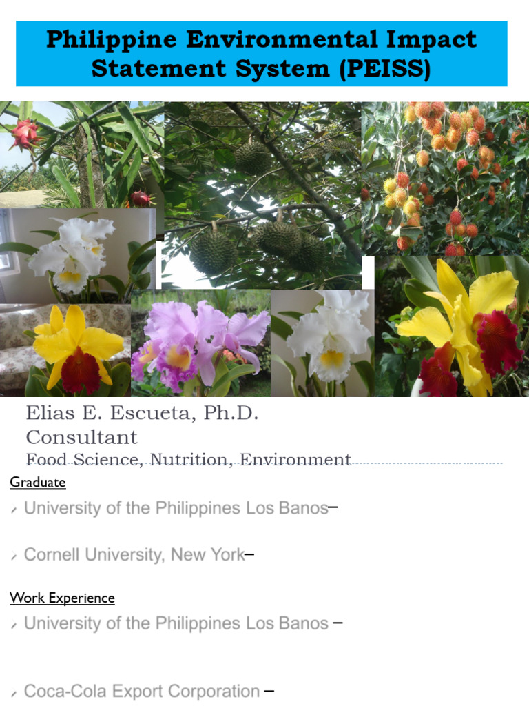 Philippine Environmental Impact Assessment Guide | PDF | Environmental ...