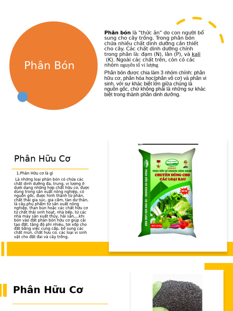 Phân Bón | PDF