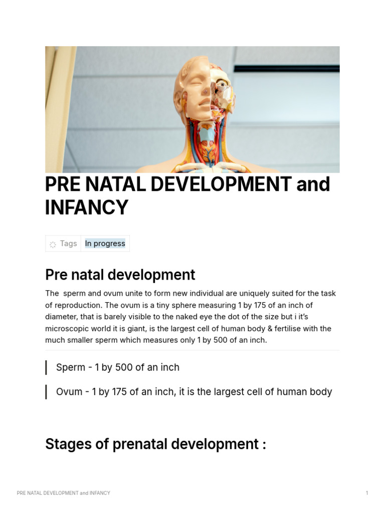 Pre Natal Development and Infancy | PDF | Fertilisation | Prenatal ...