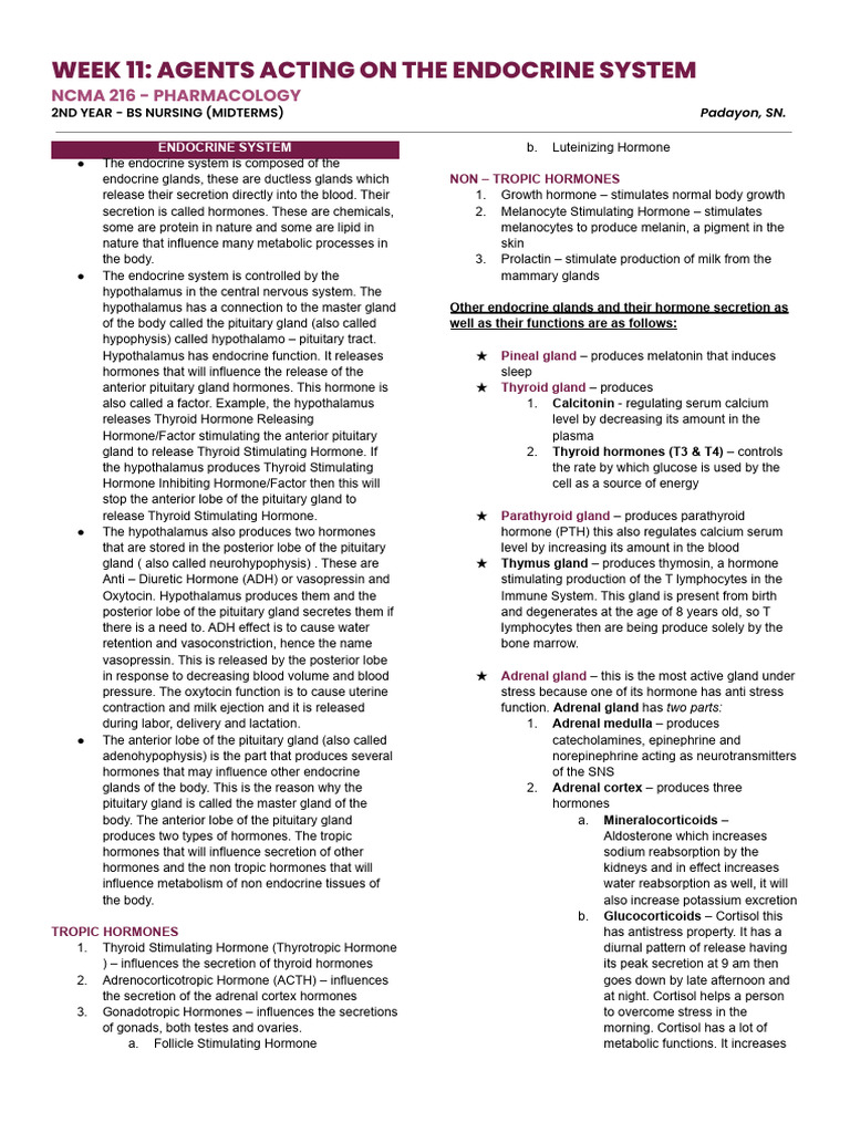 Endocrine System Agents Overview | PDF | Endocrine System | Thyroid