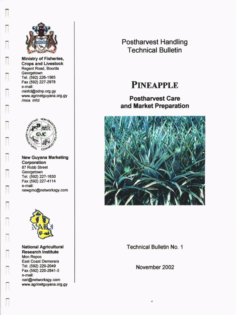Pineapple | PDF | Postharvest | Agriculture