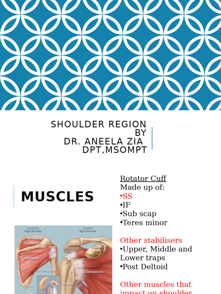 Shoulder Pathologies - 2 | PDF | Shoulder | Anatomical Terms Of Motion