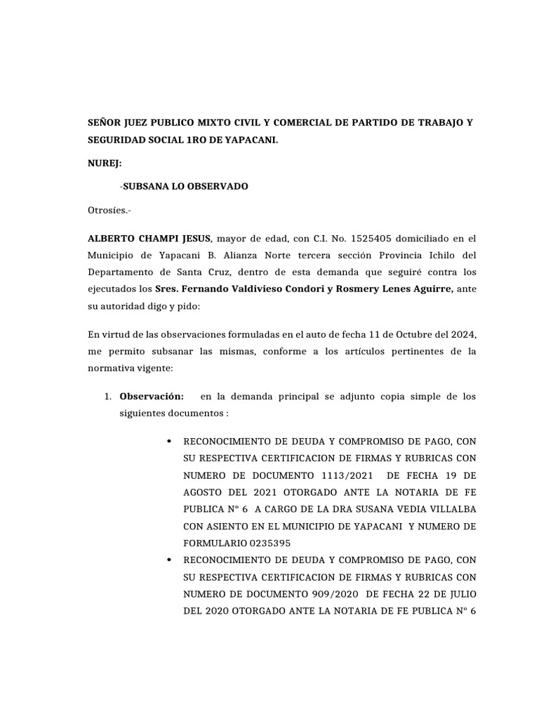 Subsana Observacion | PDF