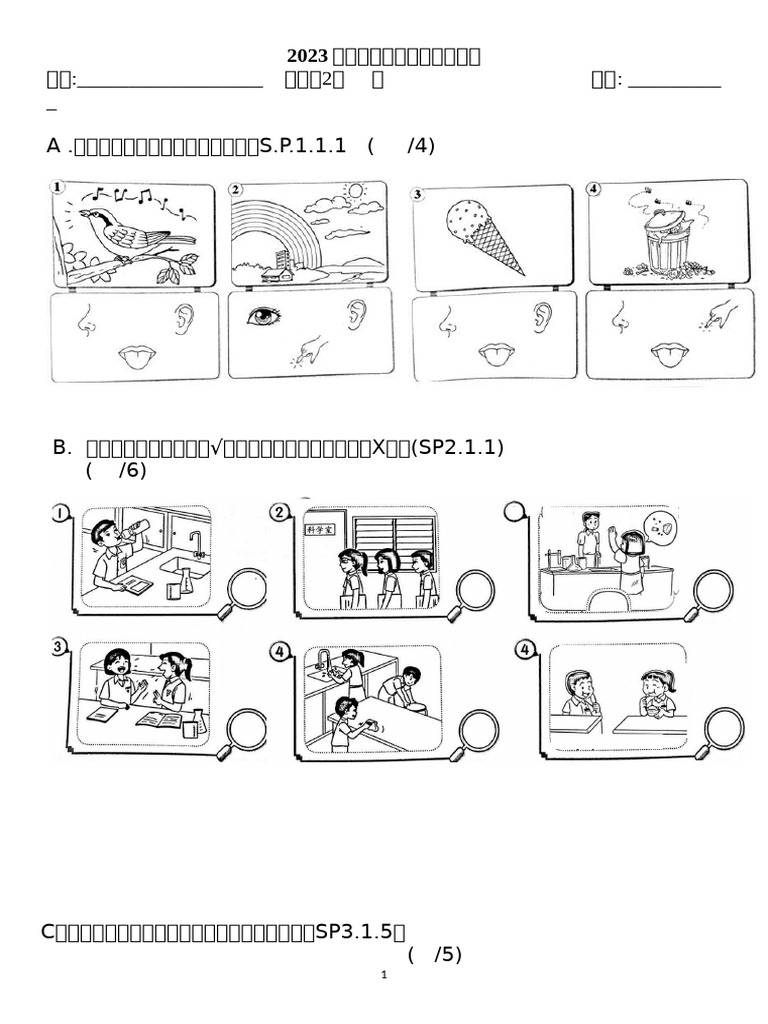 SAINS Year 2 2023 评估一 （Ogos) | PDF