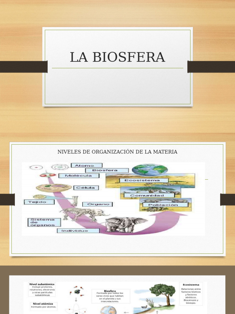 Tema 1 La Biosfera. | PDF | Ciencia y matemáticas