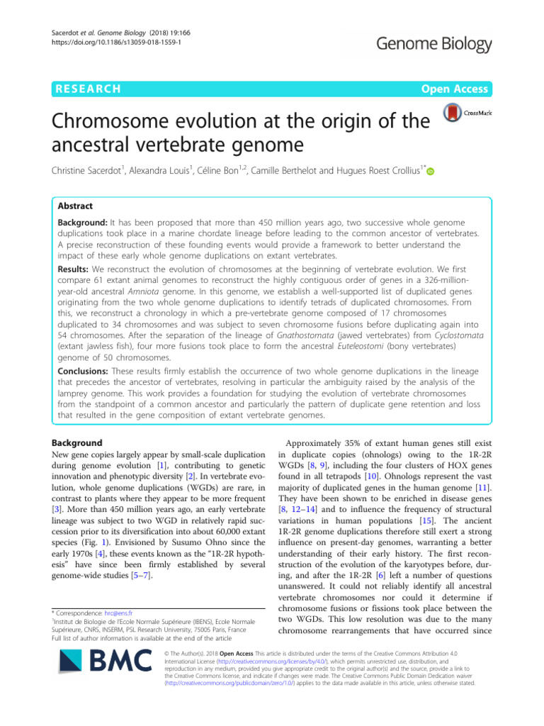 Chromosome Evolution at The Origin of The Ancestral Vertebrate Genome ...