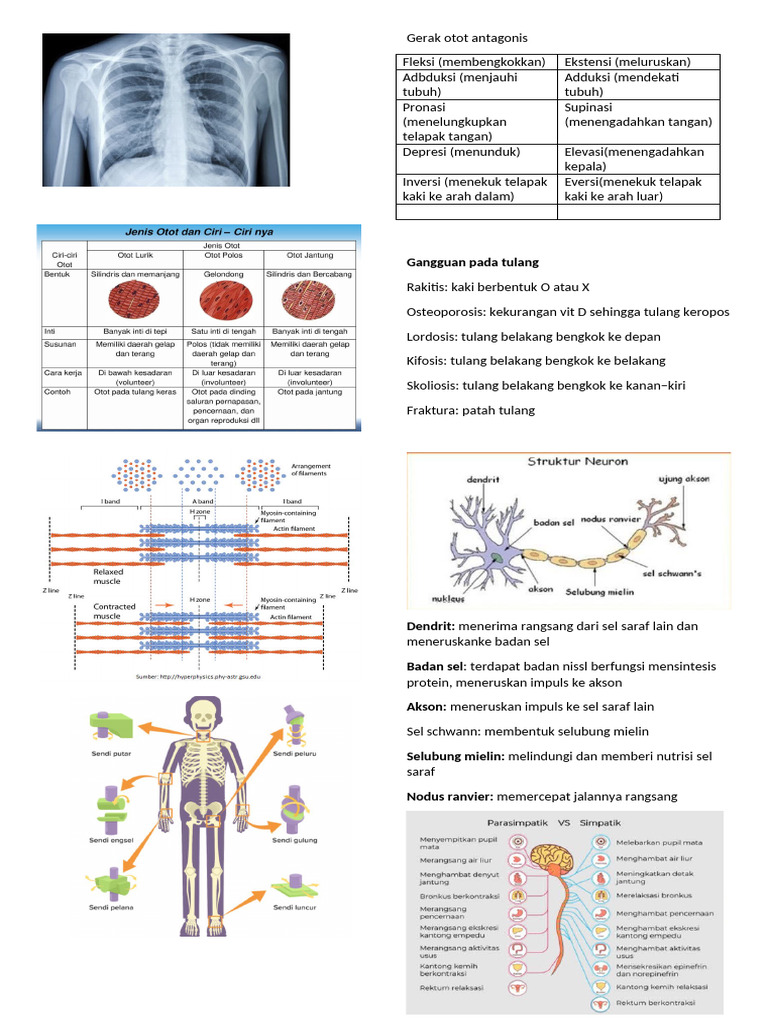 Rangkuman Bio Xi | PDF | Kesehatan Holistik