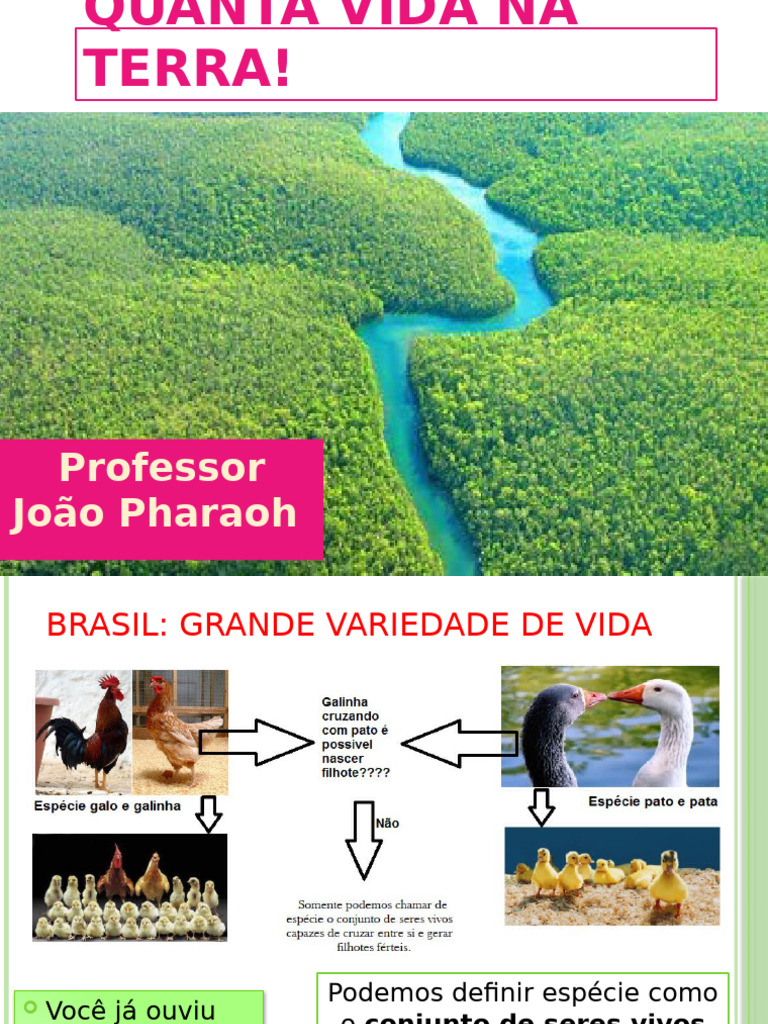 Capitulo 1 - Quanta Vida Na Terra! - 6º Ano - Barros e Paulino | PDF ...