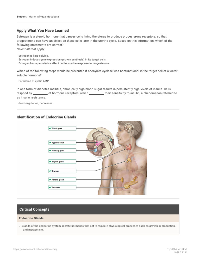 Endocrine System Hormone Functions | PDF | Hormone | Endocrine System