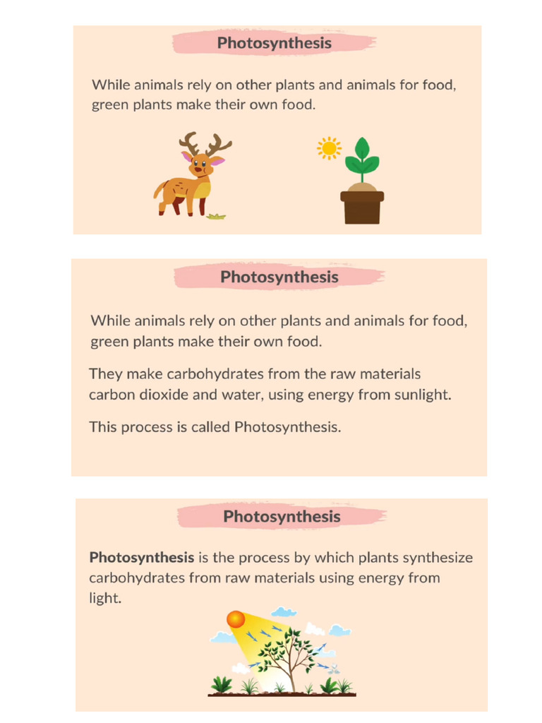 Ch-6 - Plant Nutrition - Bio - Notes (Revision) | PDF