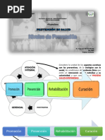 NIVELES DE LEAVELL Y CLARK Según La OMS | PDF | Asistencia sanitaria ...