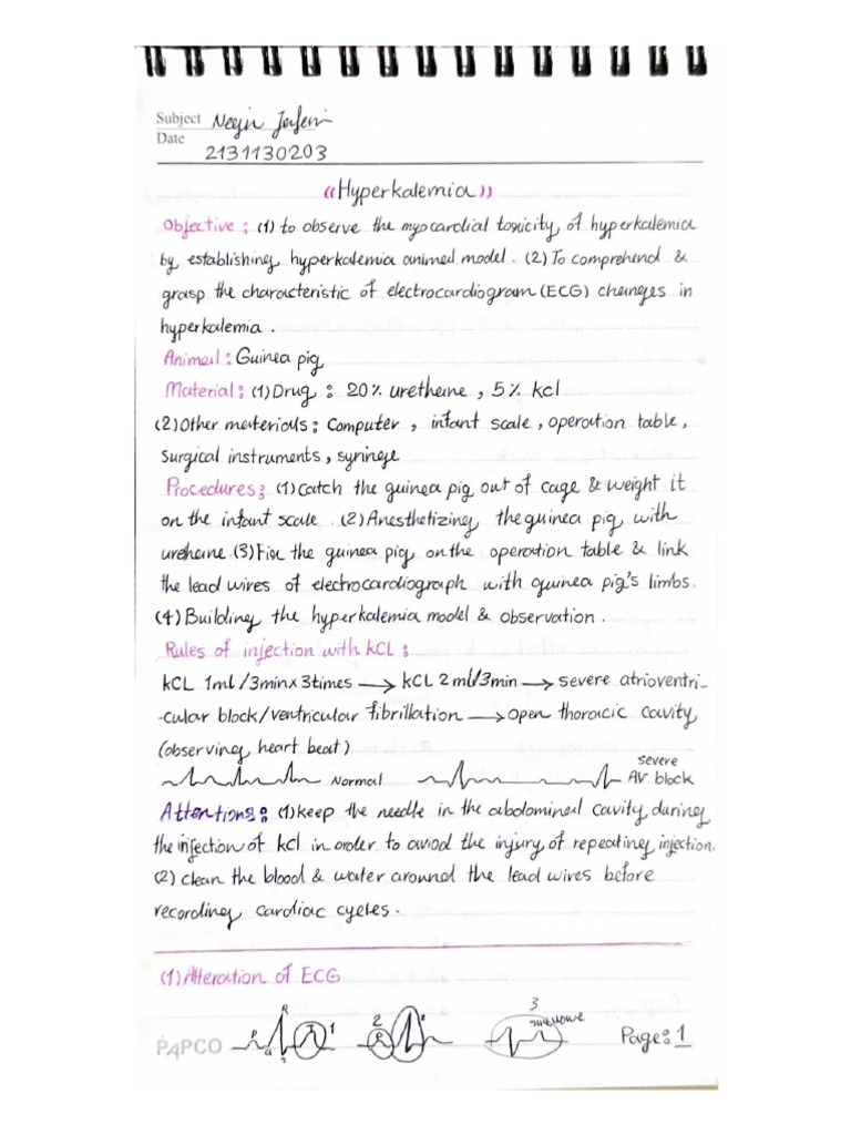 Hyperkalemia (Negin Jafari 2131130203) | PDF