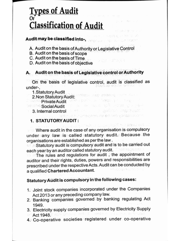 Types of Audit | PDF