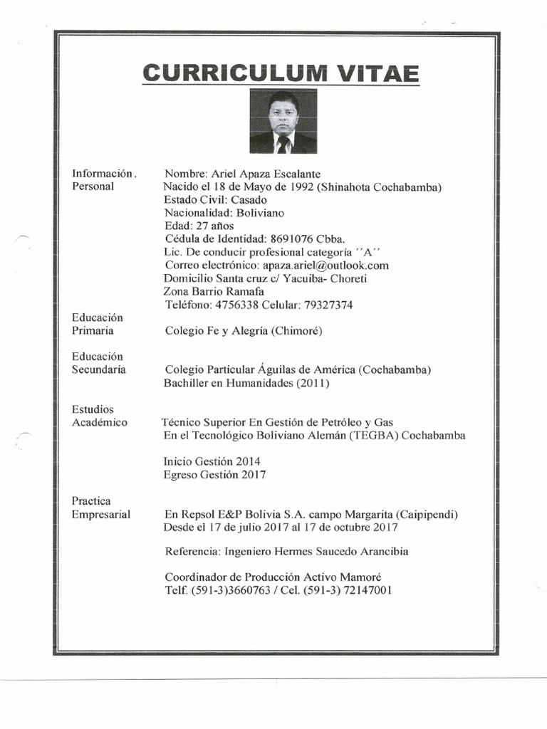 Cv-Apaza Ariel | PDF