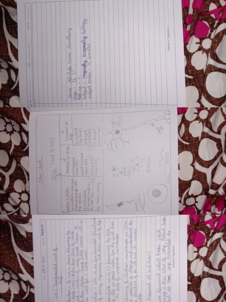 Ashutosh Kumar Choudhary Biology Class 9c | PDF
