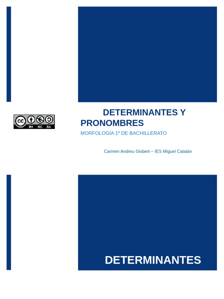 Determinantes y Pronombres | PDF | Adjetivo | Adverbio